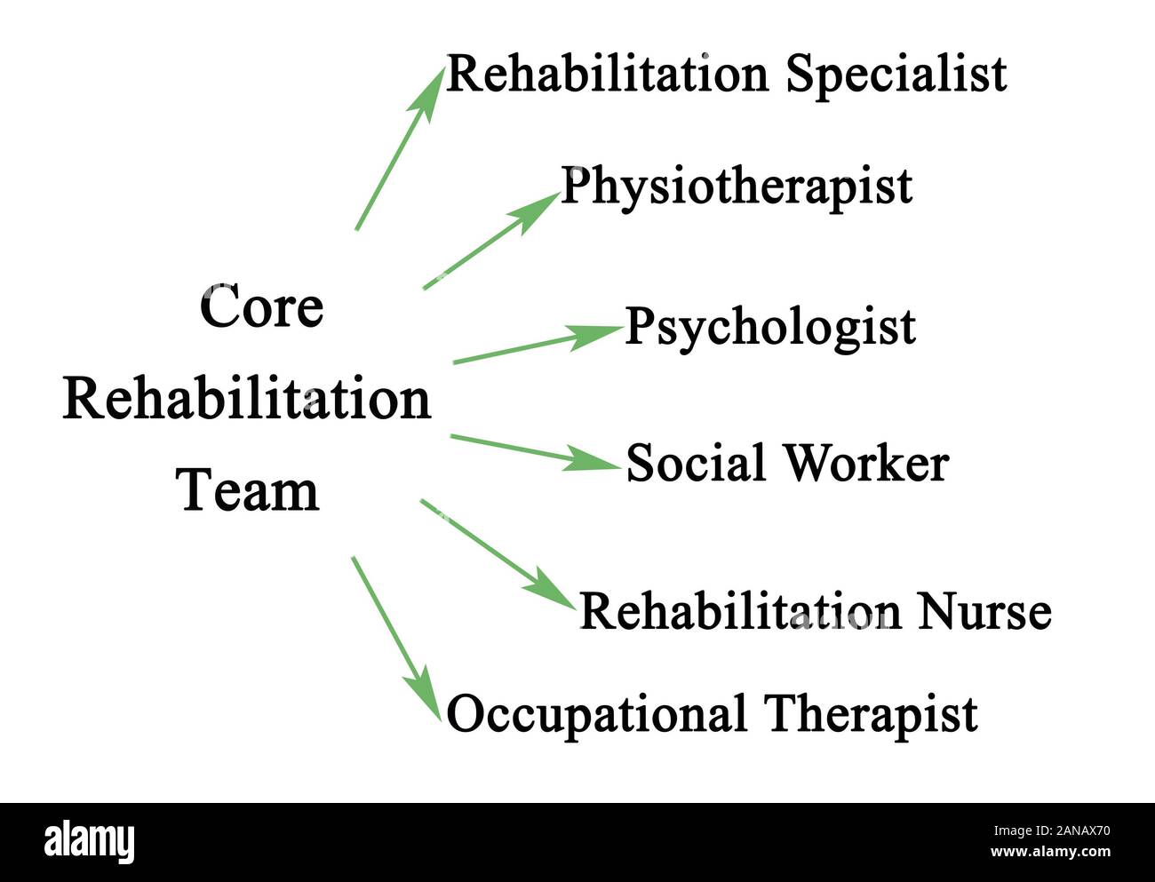 Members of Core Rehabilitation Team Stock Photo - Alamy