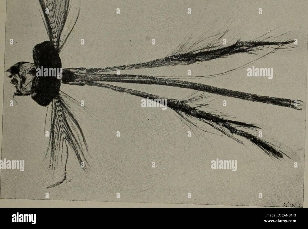 Segments of society hi-res stock photography and images - Alamy