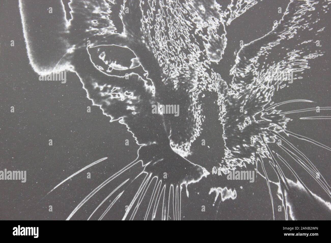 Fine seventies black and white extreme photography reverse negative of ...