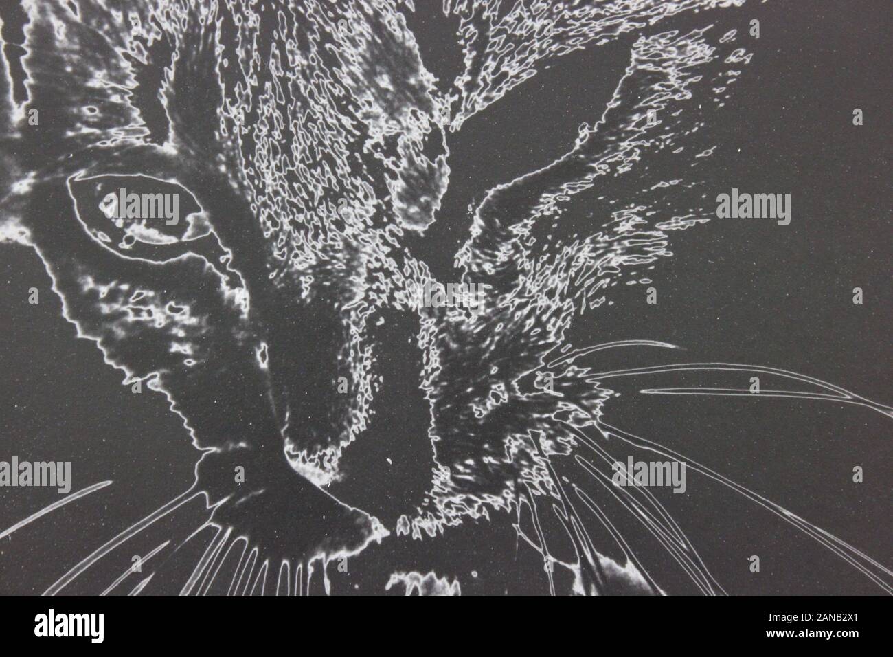 Fine seventies black and white extreme photography reverse negative of ...