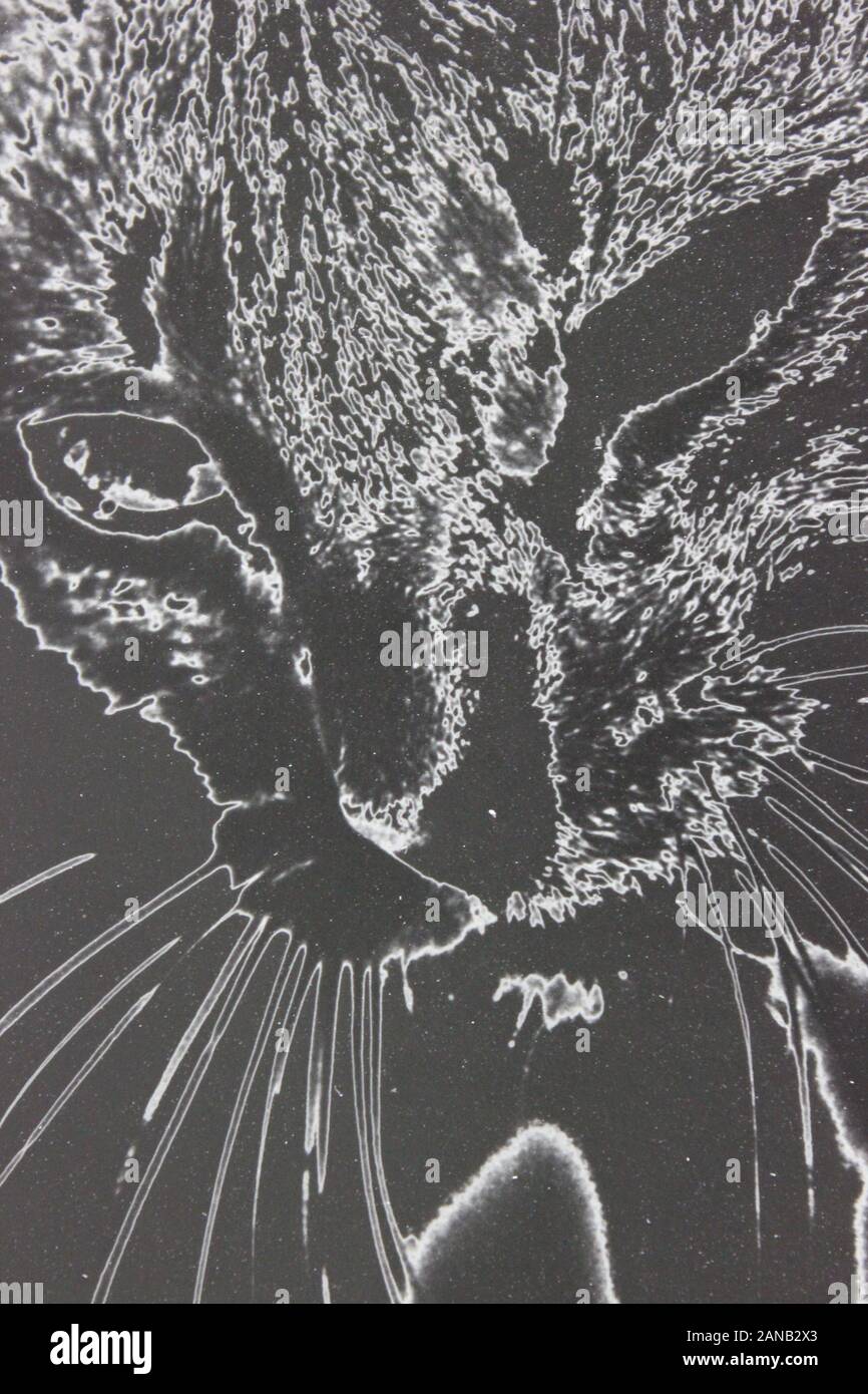 Fine seventies black and white extreme photography reverse negative of ...