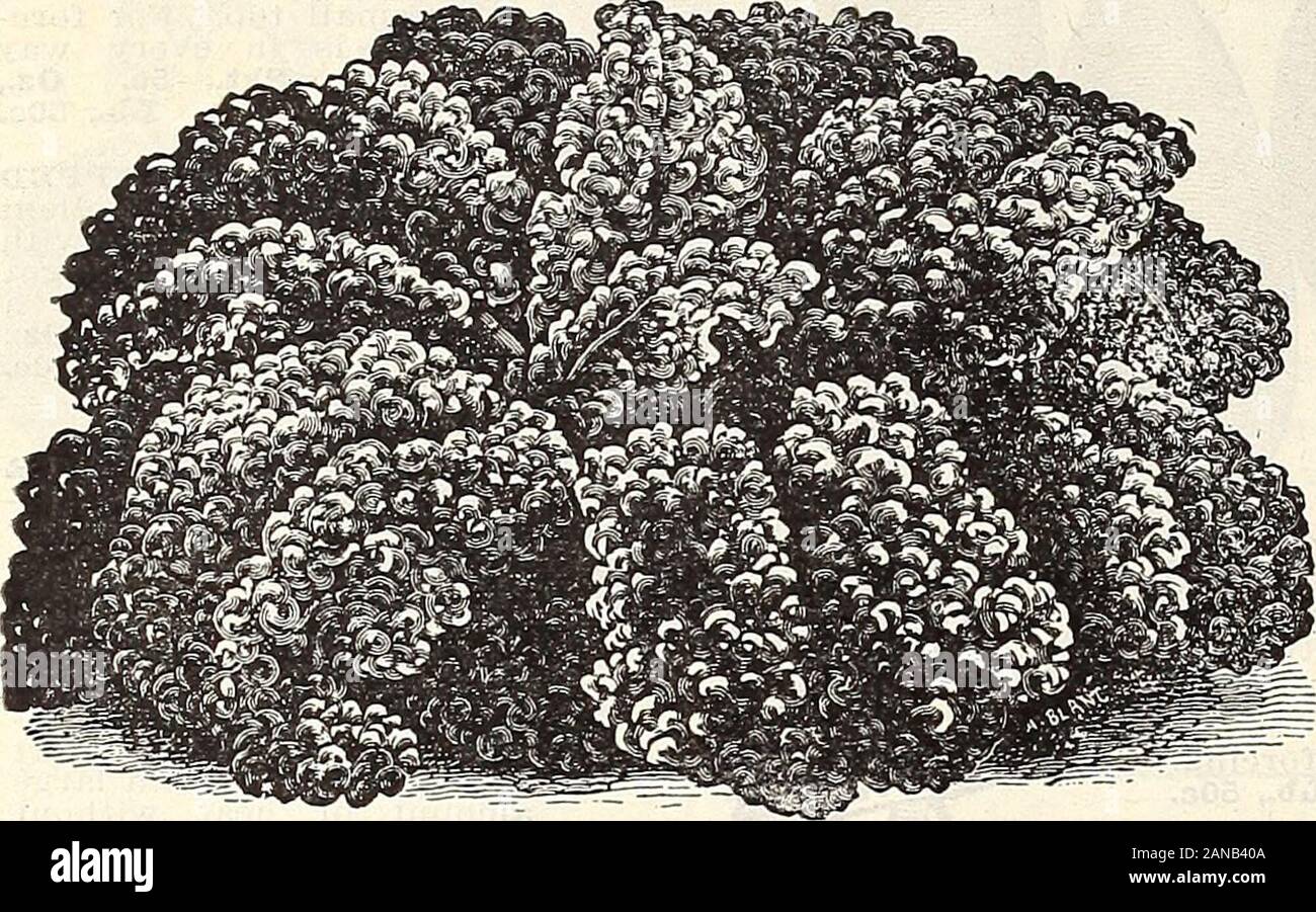 Shape globular hi-res stock photography and images - Alamy