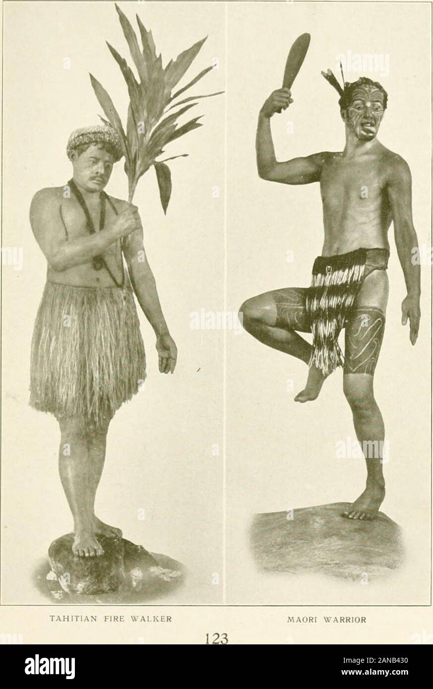 Guide to the nature treasures of New York city; American museum of ...