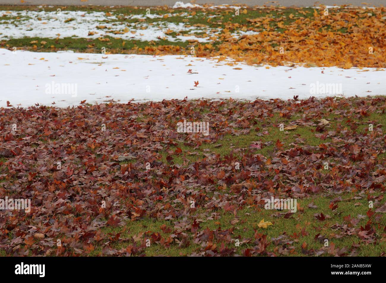 Early fall snowfall hi-res stock photography and images - Alamy