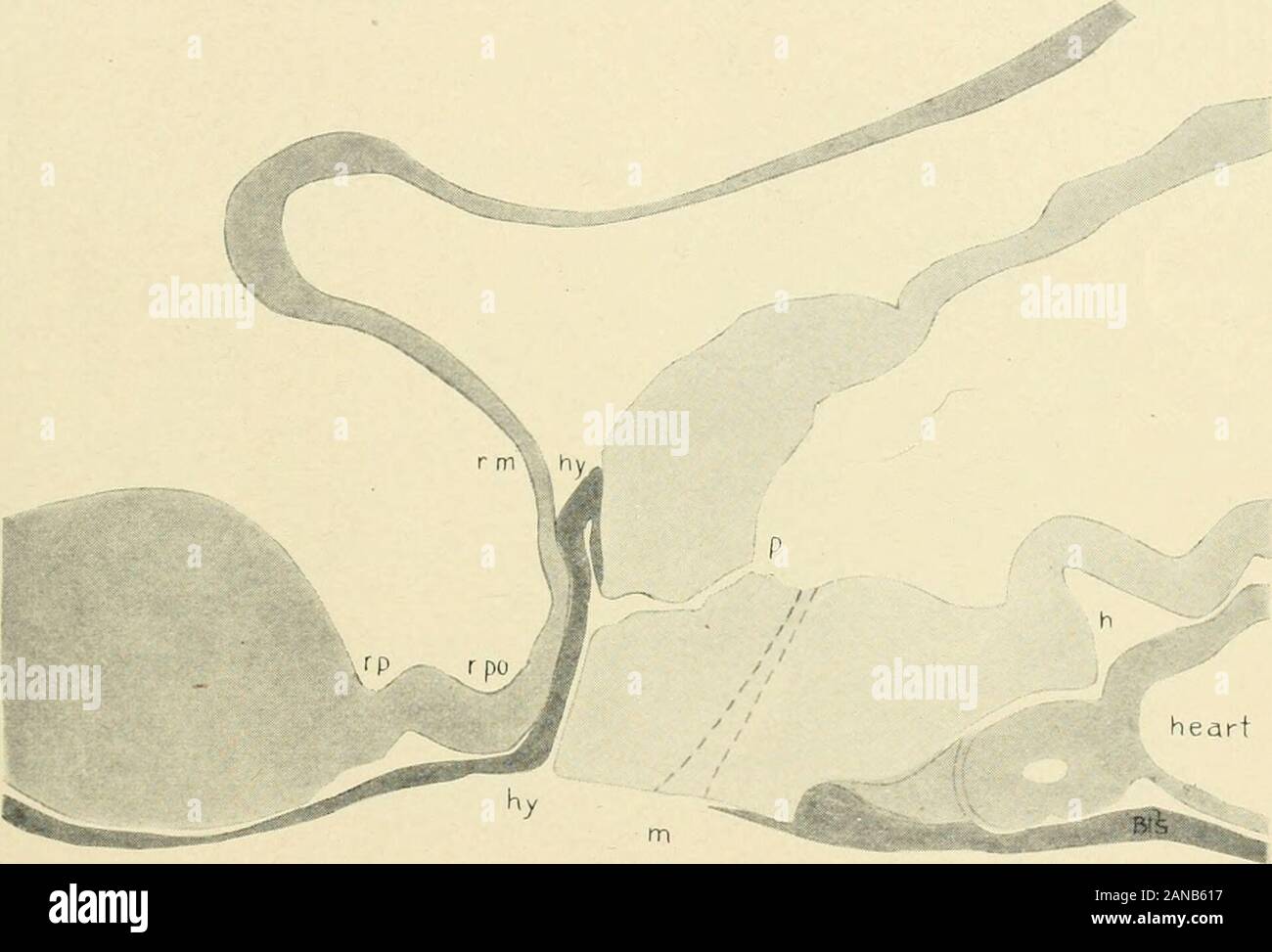 Caudad region hi-res stock photography and images - Alamy