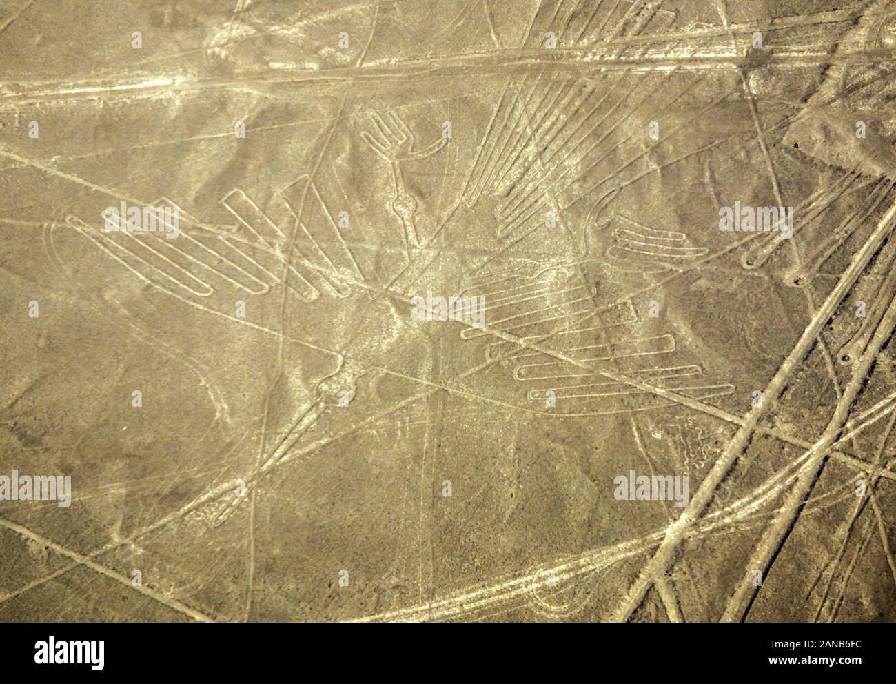 aerial photograph of The Condor in Nazca Lines Peru Stock Photo - Alamy