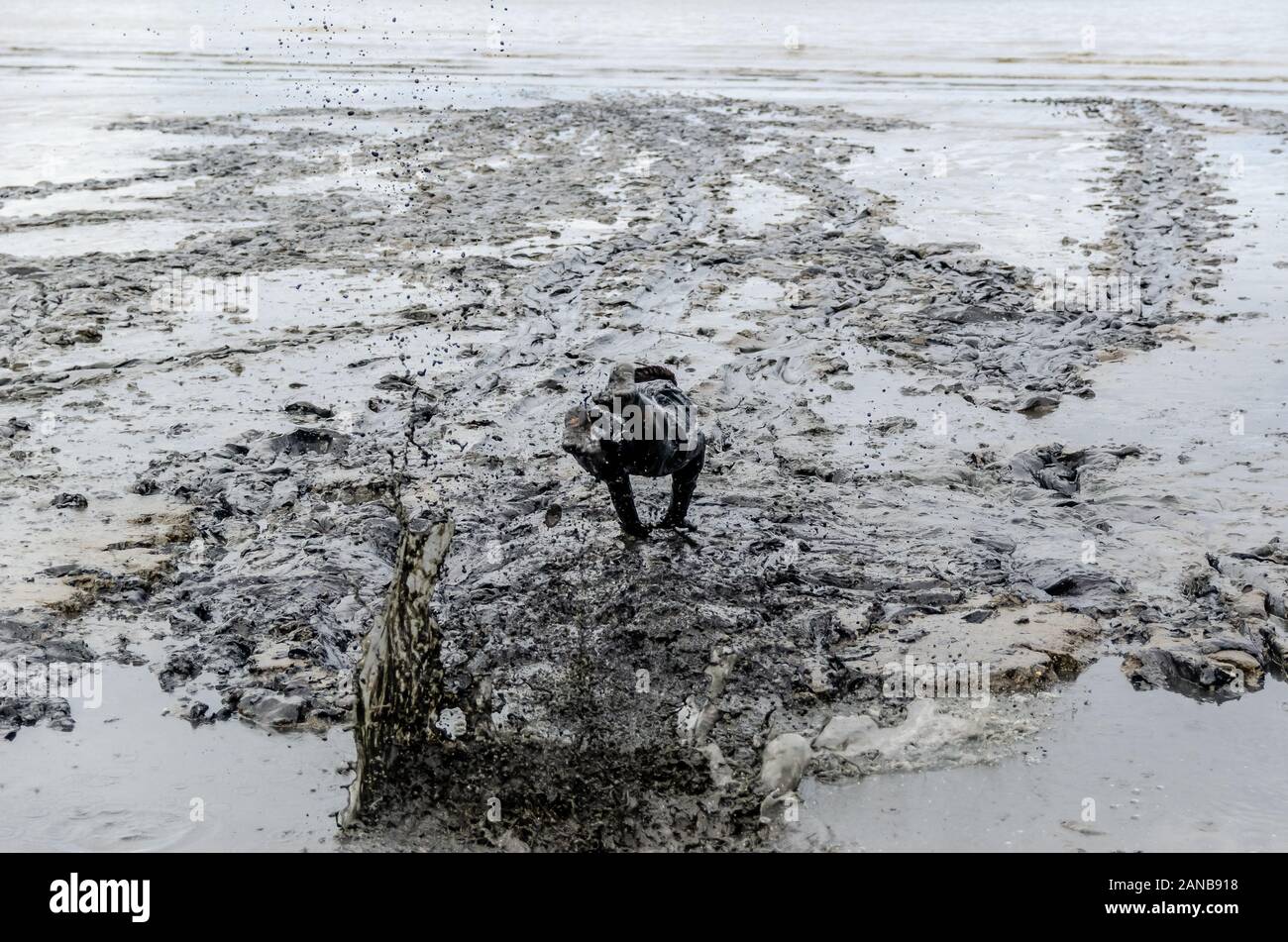 "Mud Block" is a carnival block where people have fun, fantasize and ...