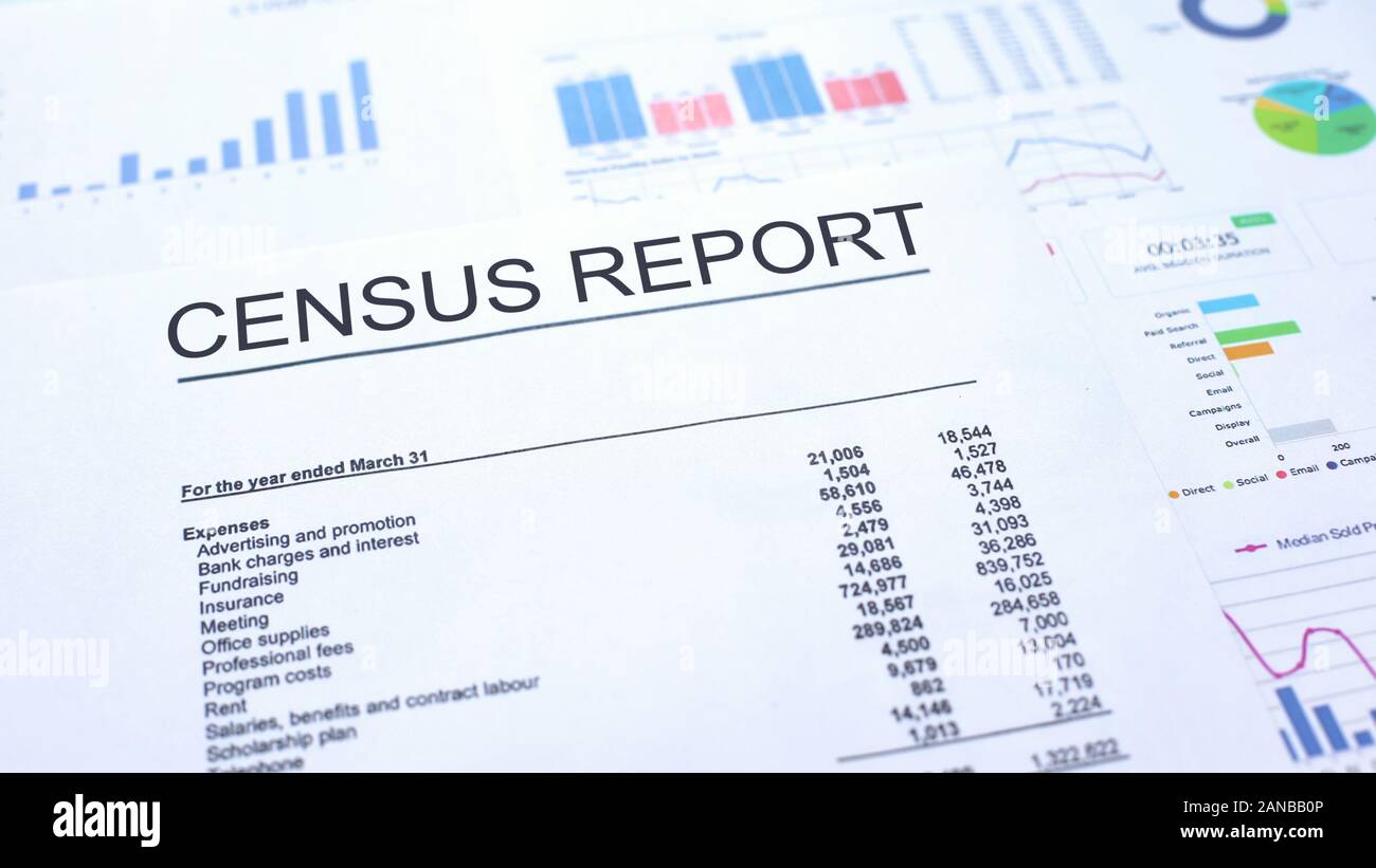 Census report lying on table, graphs charts and diagrams, official ...