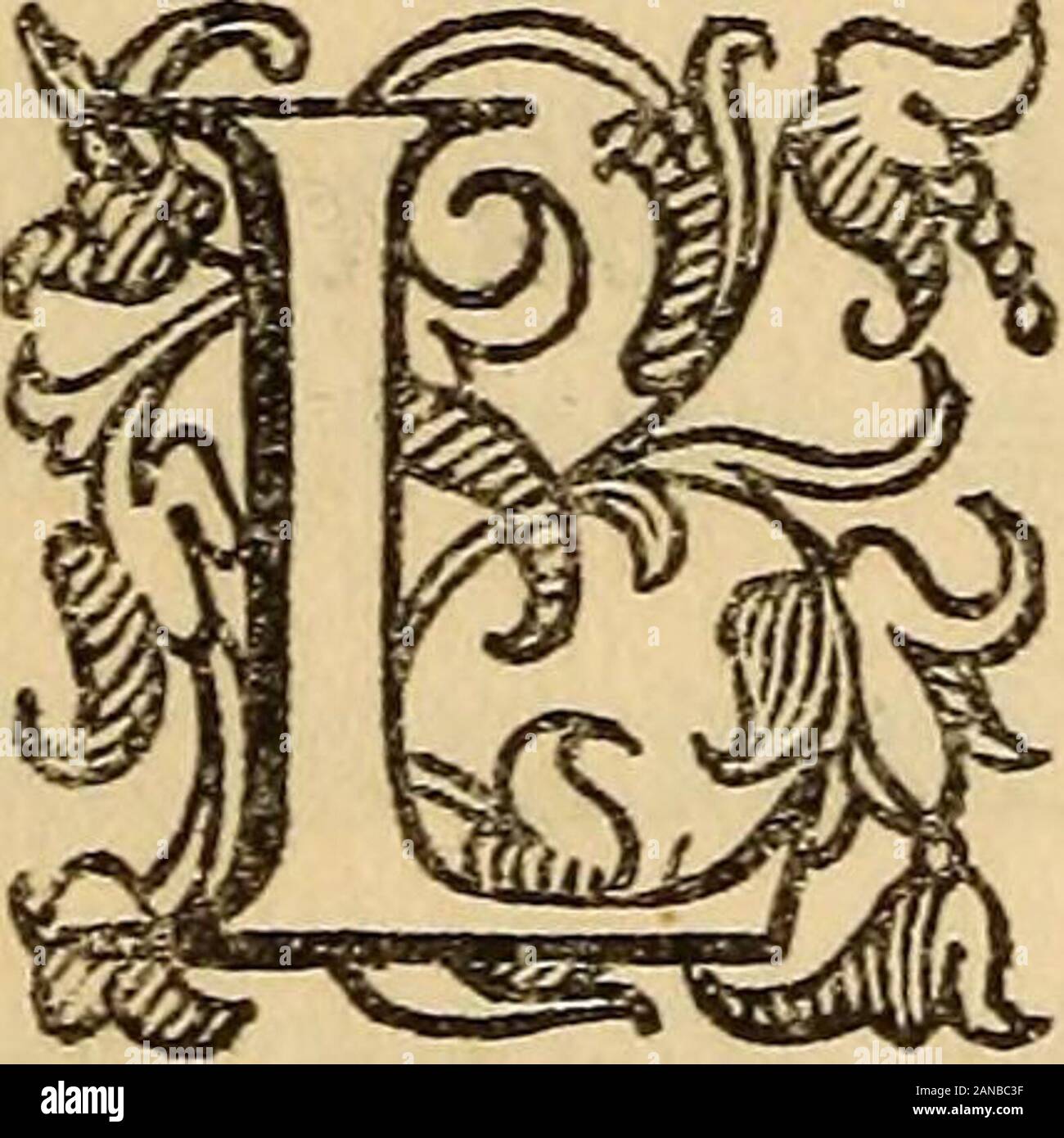 Aulus gellius hi-res stock photography and images - Alamy