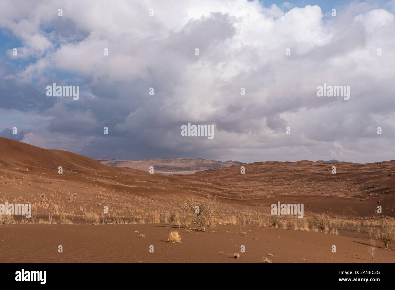 the formation of wet sand dunes in dasht e lut or sahara desert, after ...