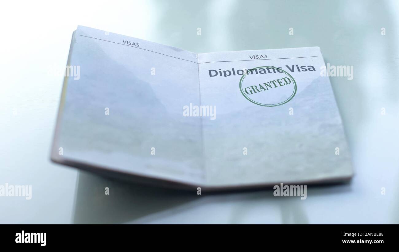 Diplomatic Visa Granted Seal Stamped In Passport Customs Office