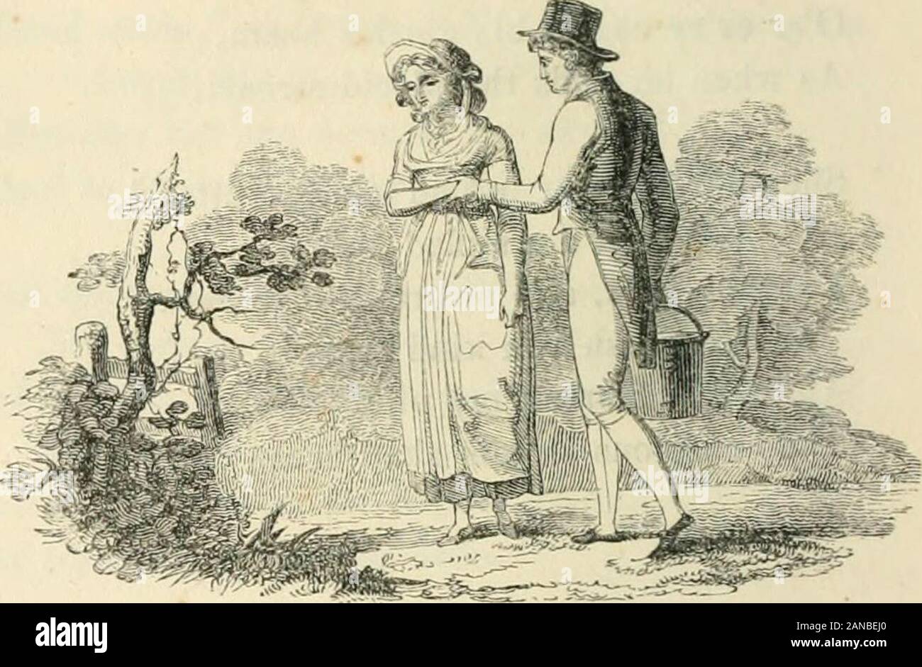 Soft corn foot hi-res stock photography and images - Alamy