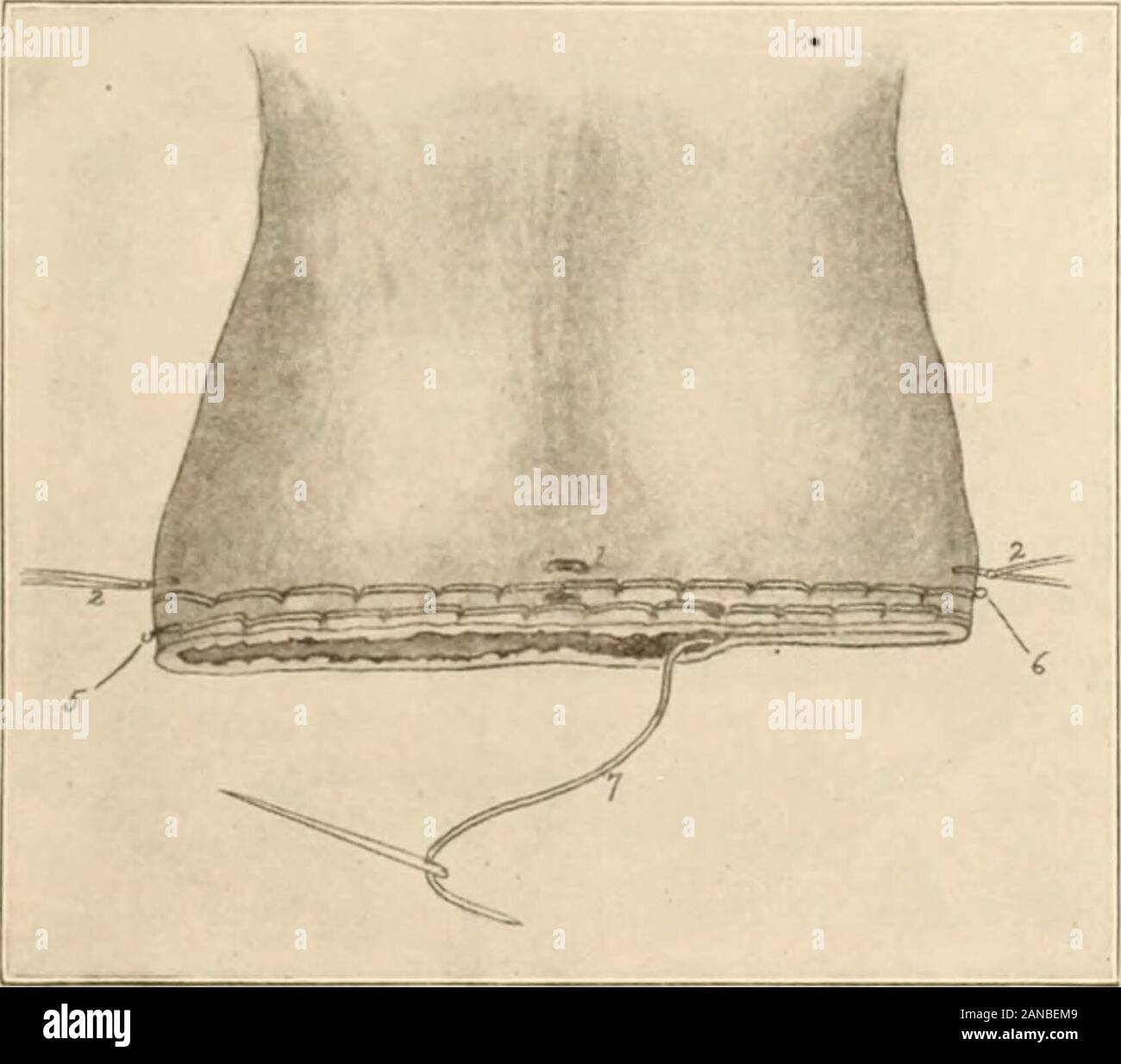 American practitioner and news . s areknotted, and the ends for the ...