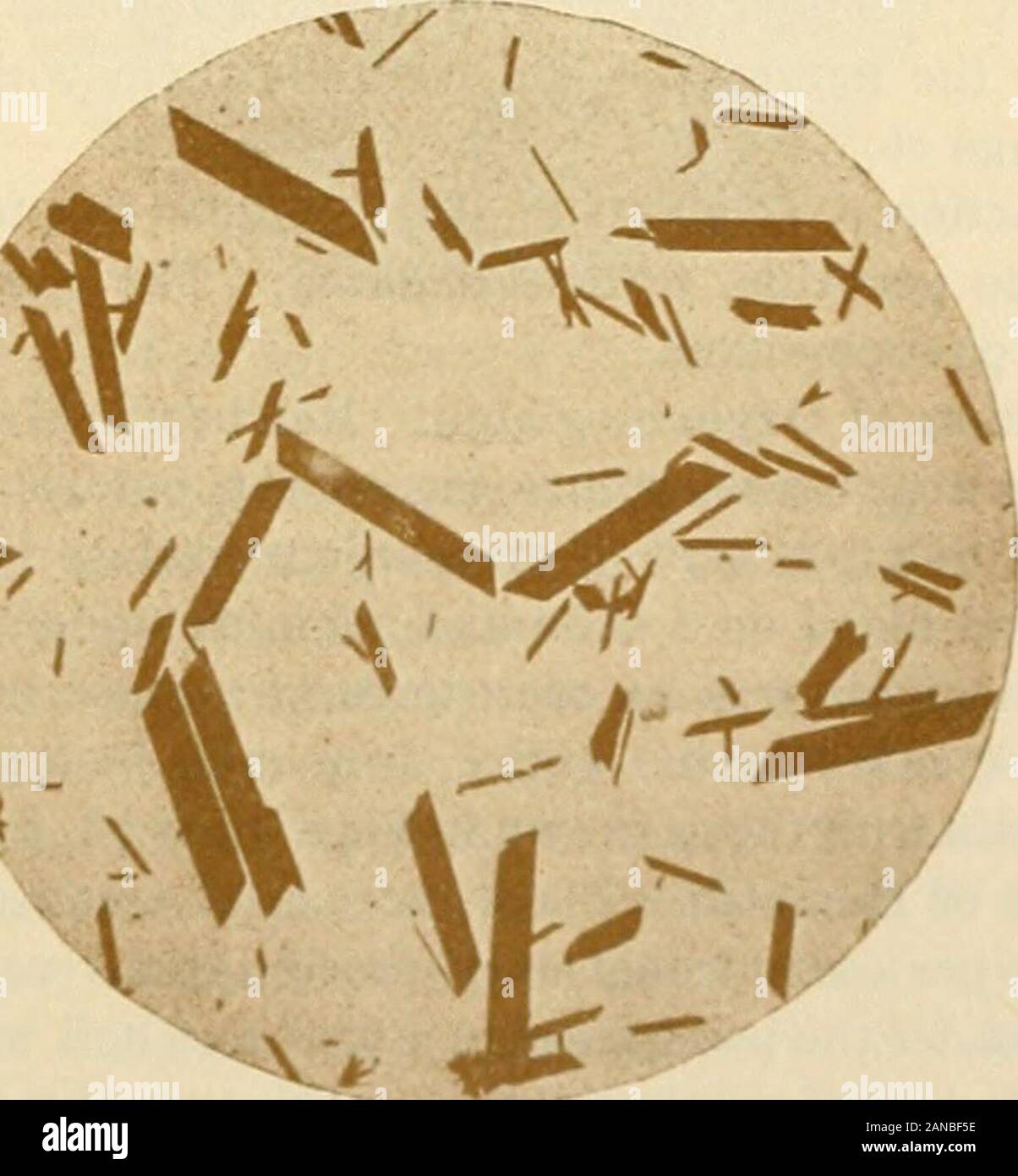 Practical physiological chemistry; a book designed for use in courses ...