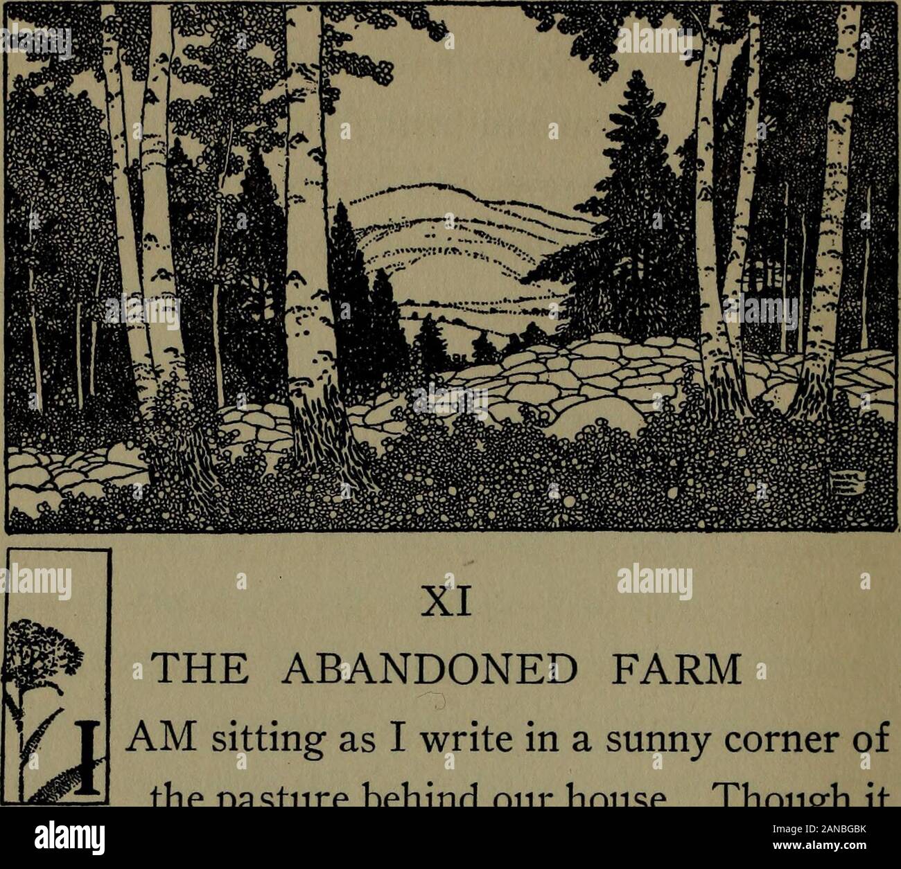 Scream and scream again hi-res stock photography and images - Alamy