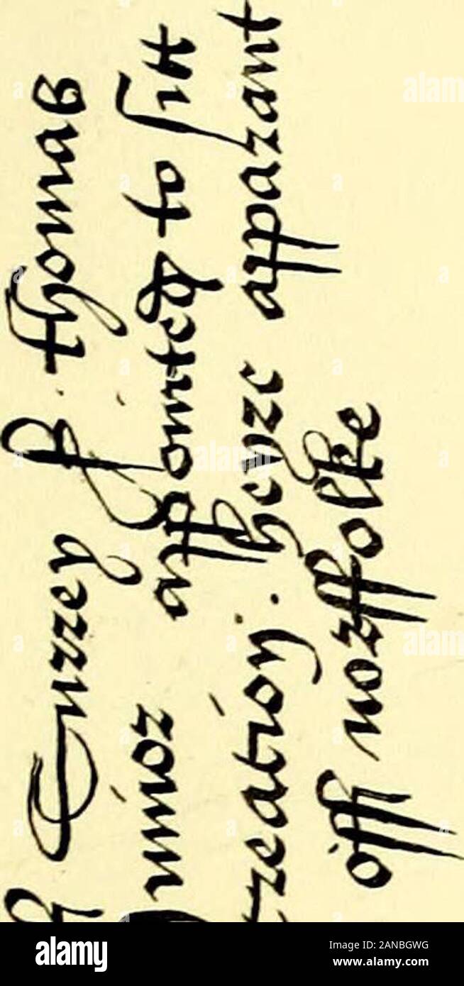 Fac simile of a contemporary roll with the names and the arms of the ...