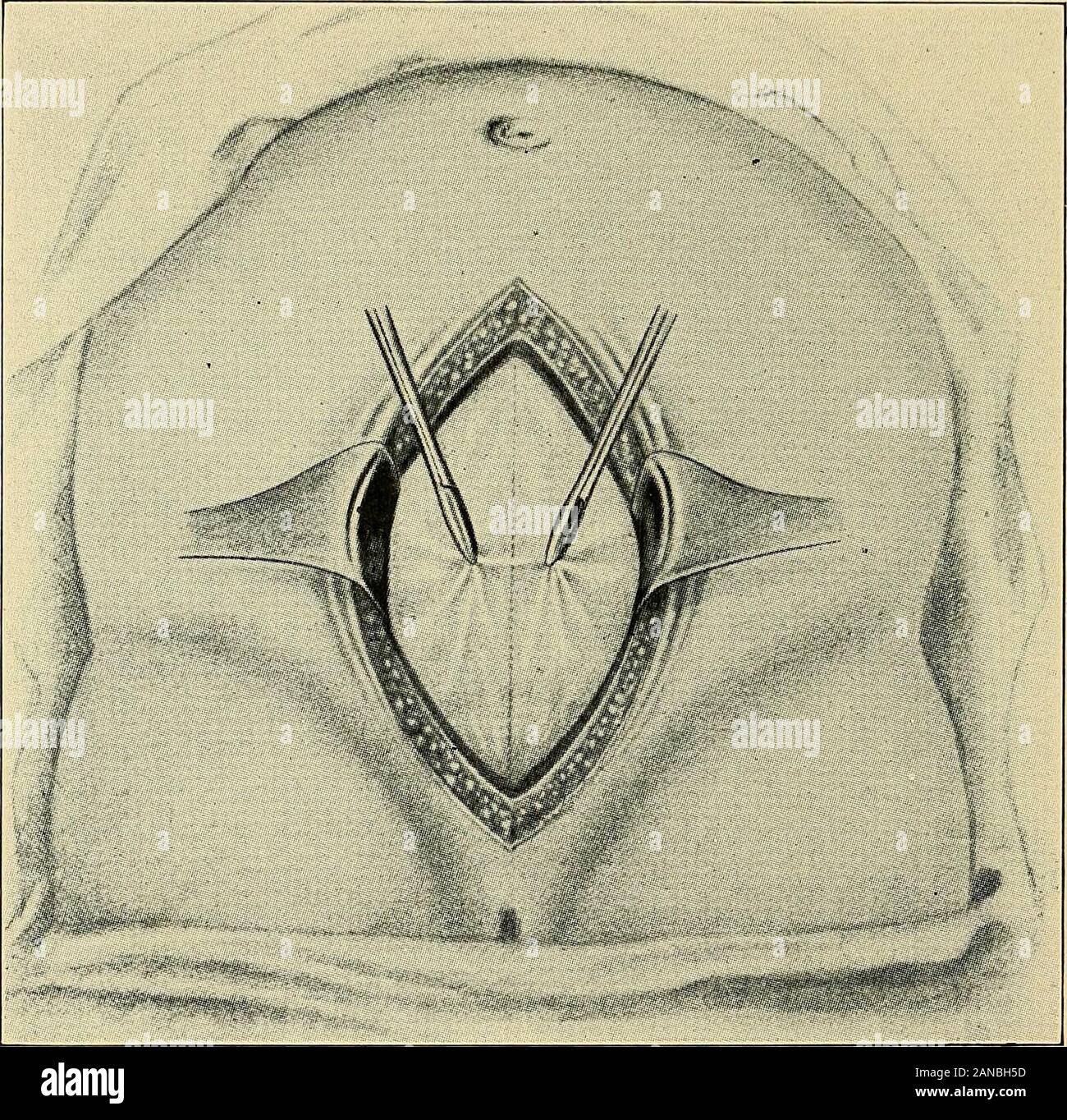 Aclassical hi-res stock photography and images - Alamy