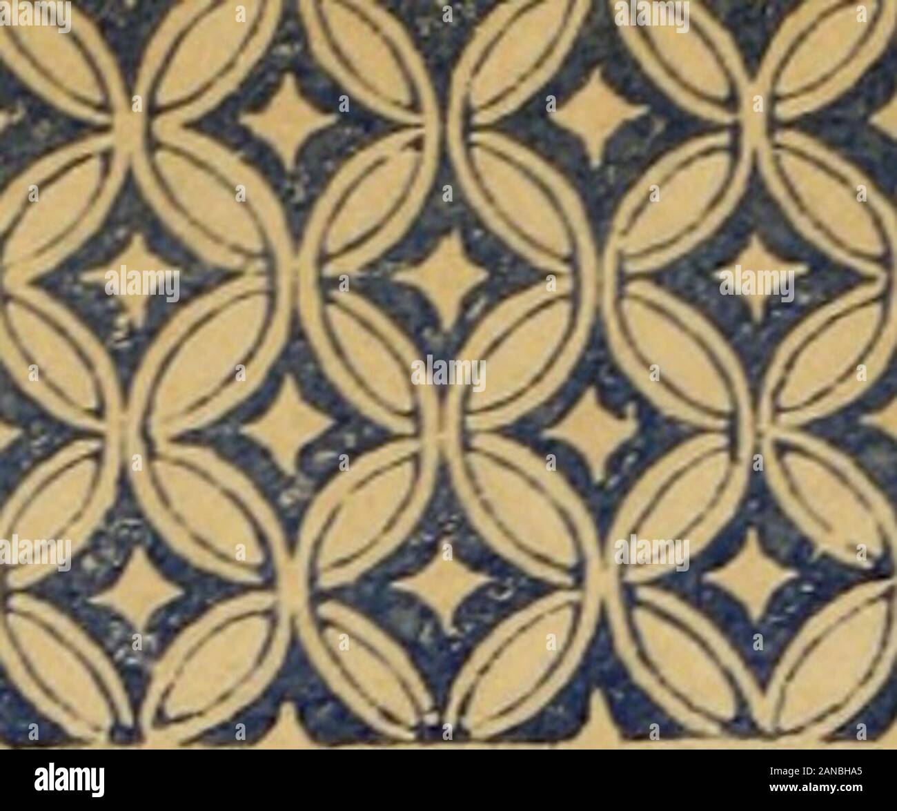 A natural history of British grasses Stock Photo - Alamy