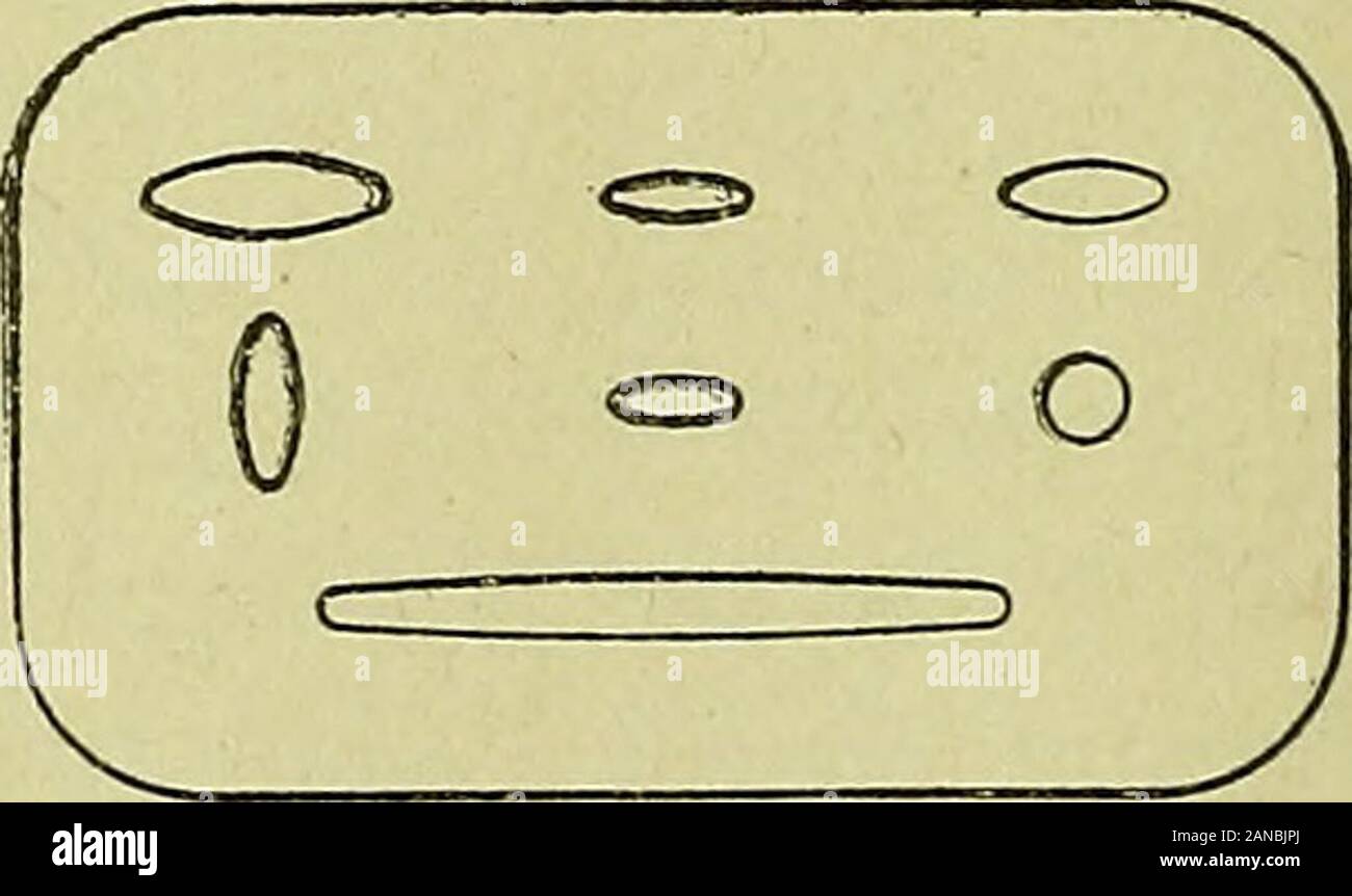 Erasing shield hi-res stock photography and images - Alamy