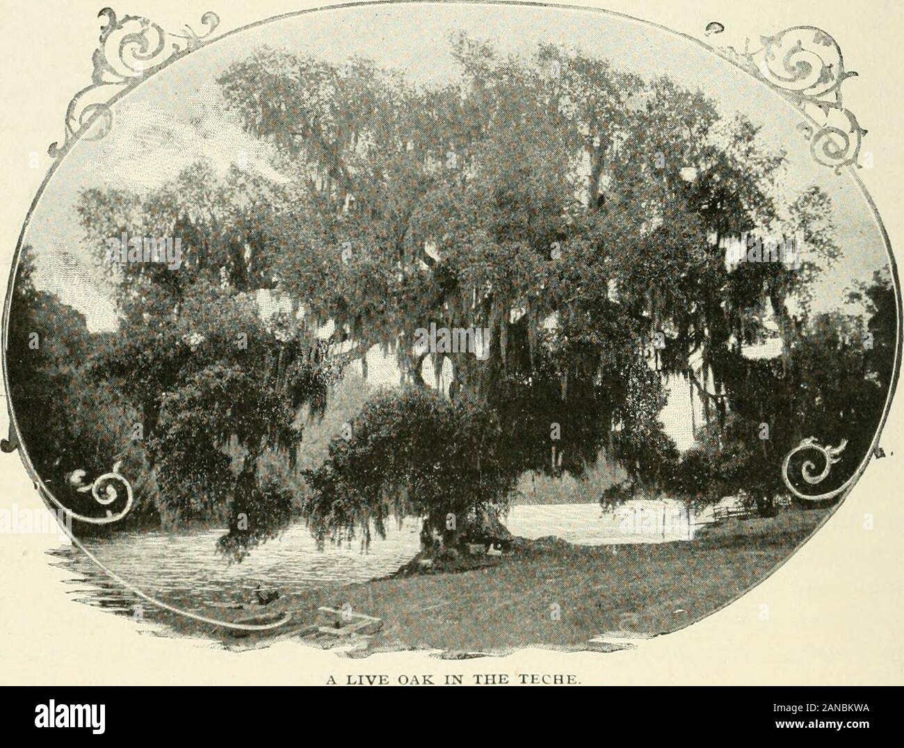 Storyland High Resolution Stock Photography and Images - Alamy