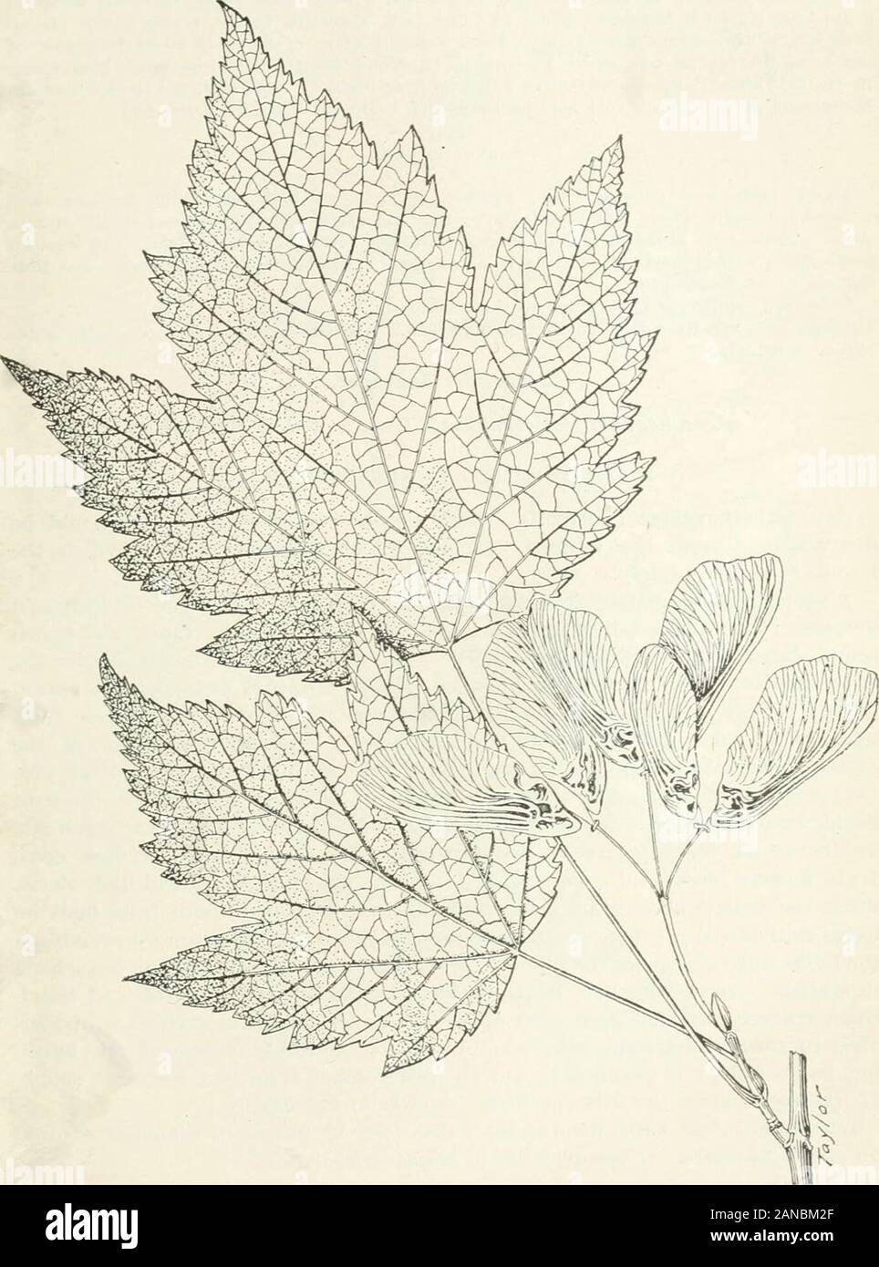 Spences_bridge hi-res stock photography and images - Alamy