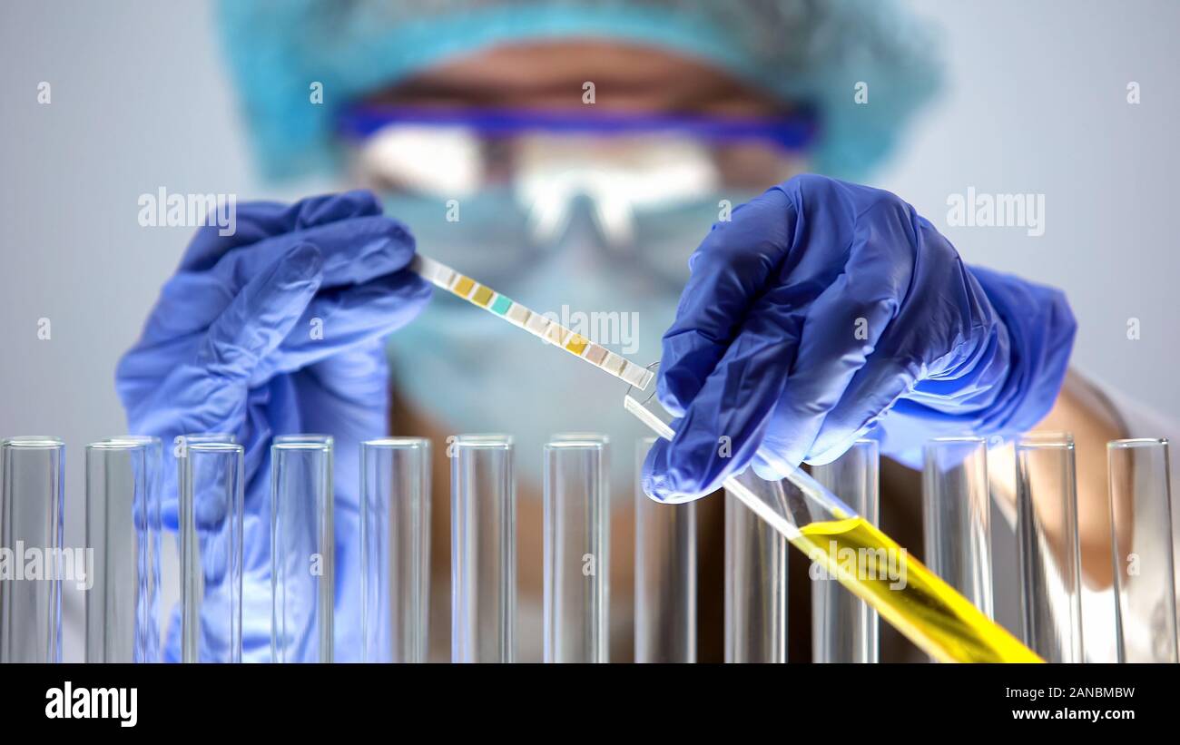 Lab worker measuring pH level in yellow liquid with litmus paper, urine ...