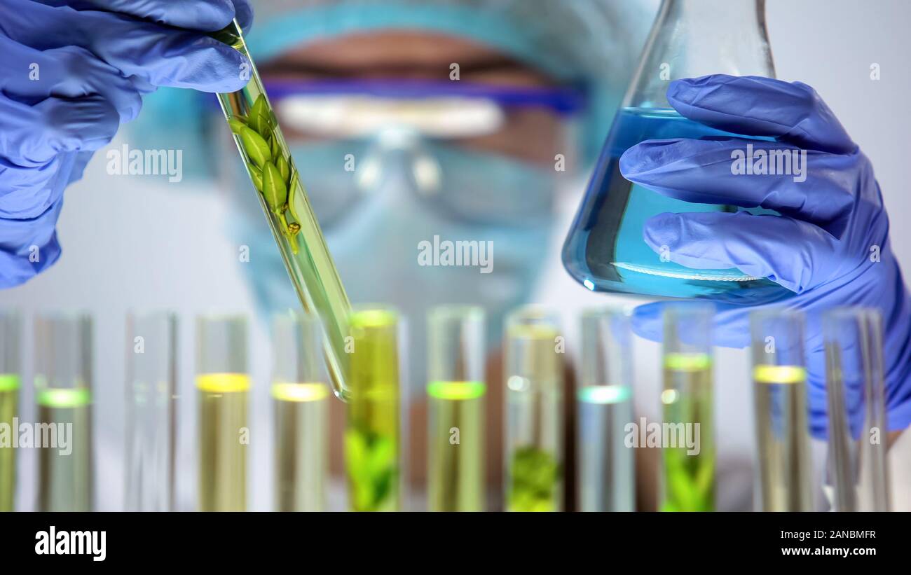 Chemist comparing test tube hi-res stock photography and images - Alamy
