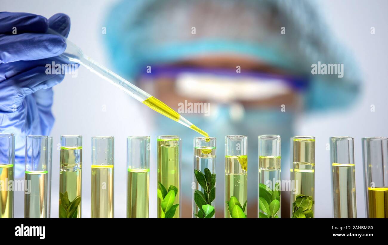 Biochemist dripping yellow substance into test tube with green plant ...