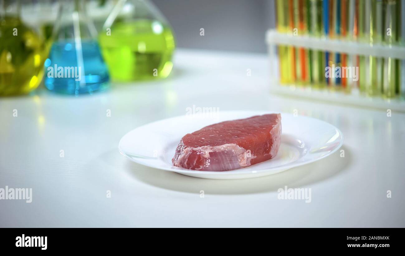 Meat sample on plate laboratory table, quality control and gmo food ...