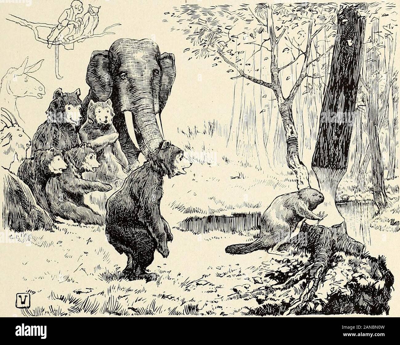 Inside another tree hi-res stock photography and images - Alamy