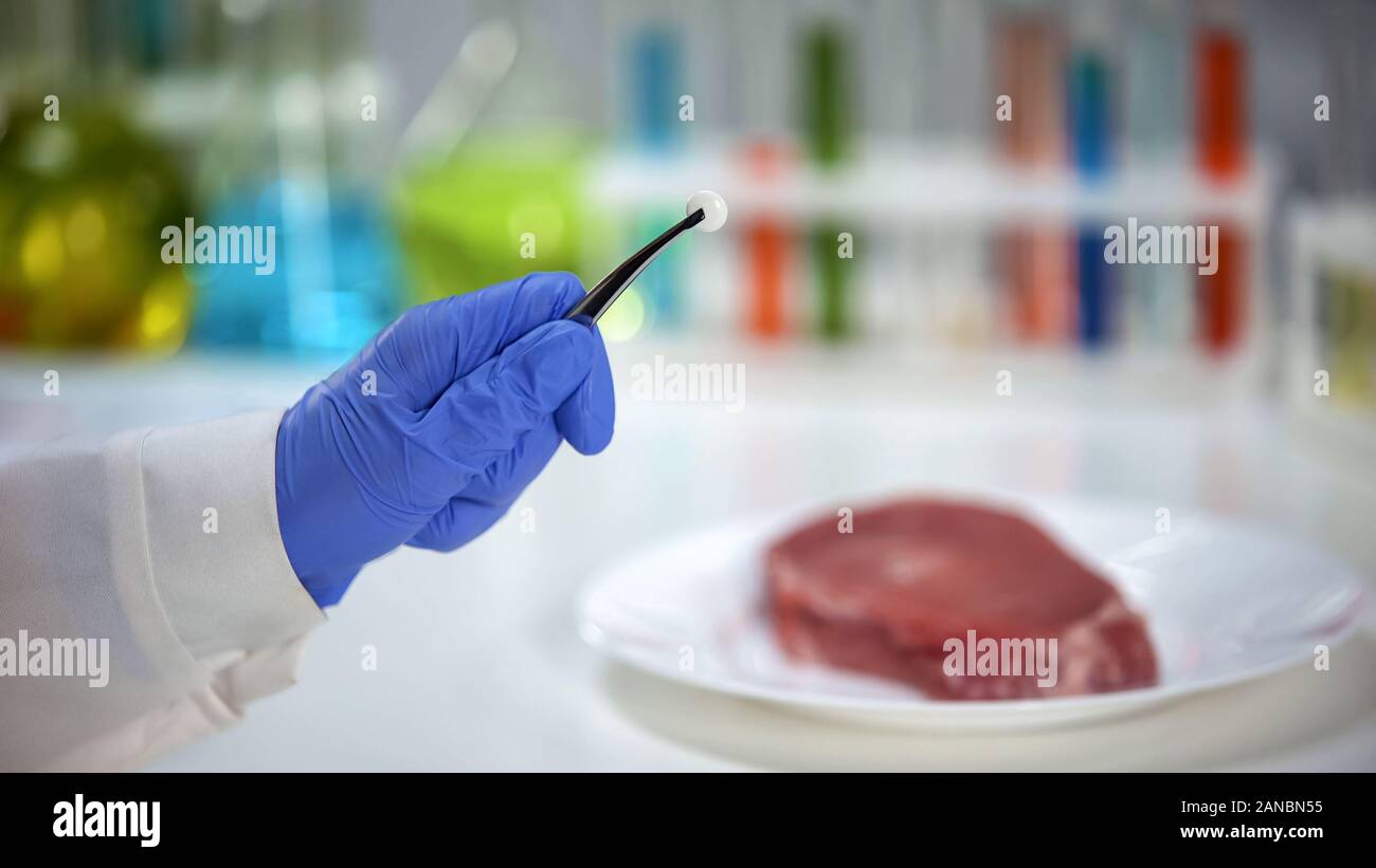 Veterinarian holding tablet, meat sample on background, antibiotic ...