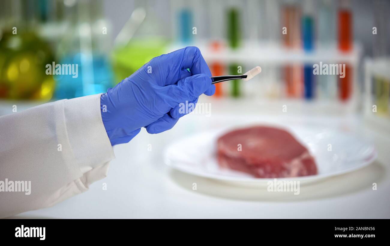 Vet lab worker holding capsule, meat sample on background, medication ...