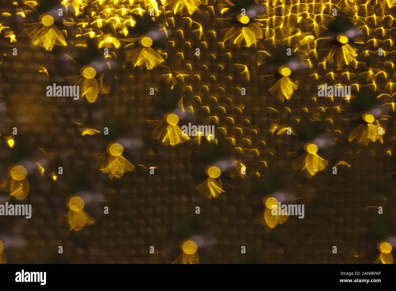 abstract colour image showing scattered light through textured glass ...