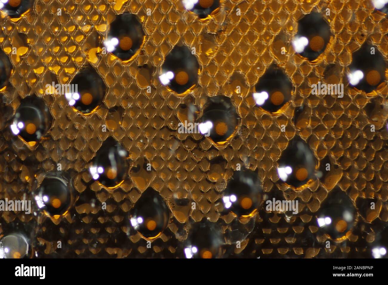 Scattered light hi-res stock photography and images - Alamy