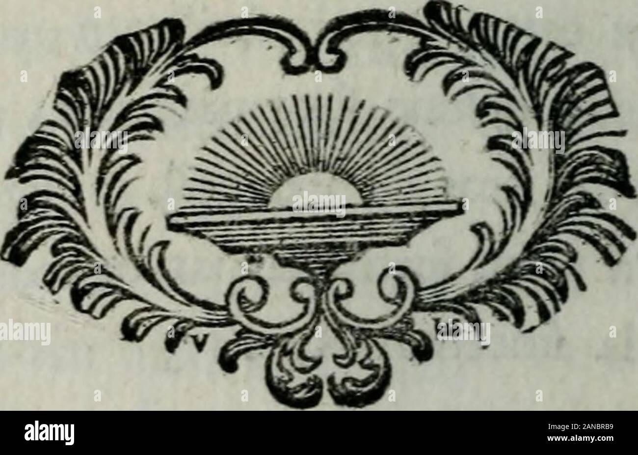 Brillante nymphe hi-res stock photography and images - Alamy