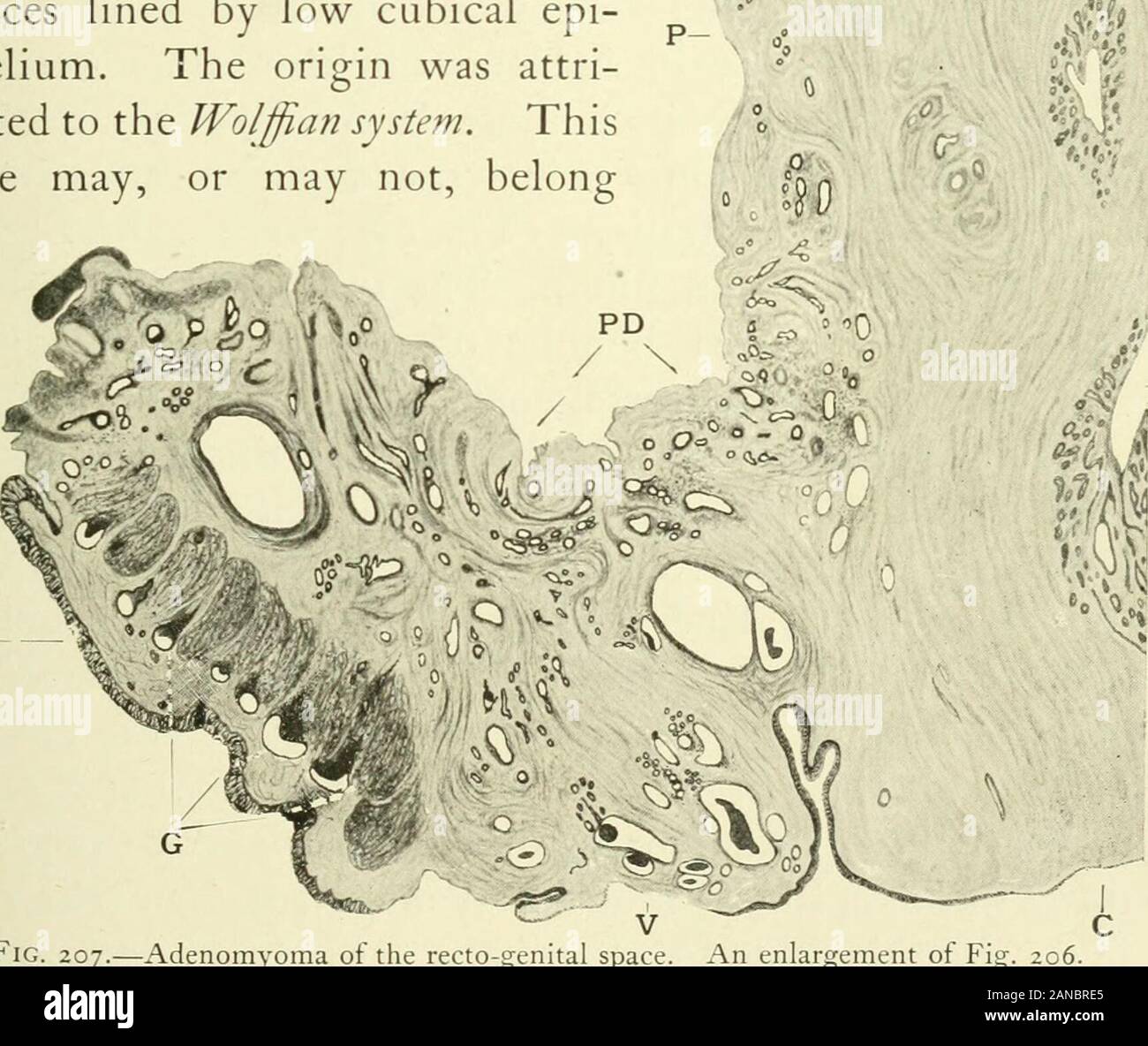 50 recto hi-res stock photography and images - Alamy
