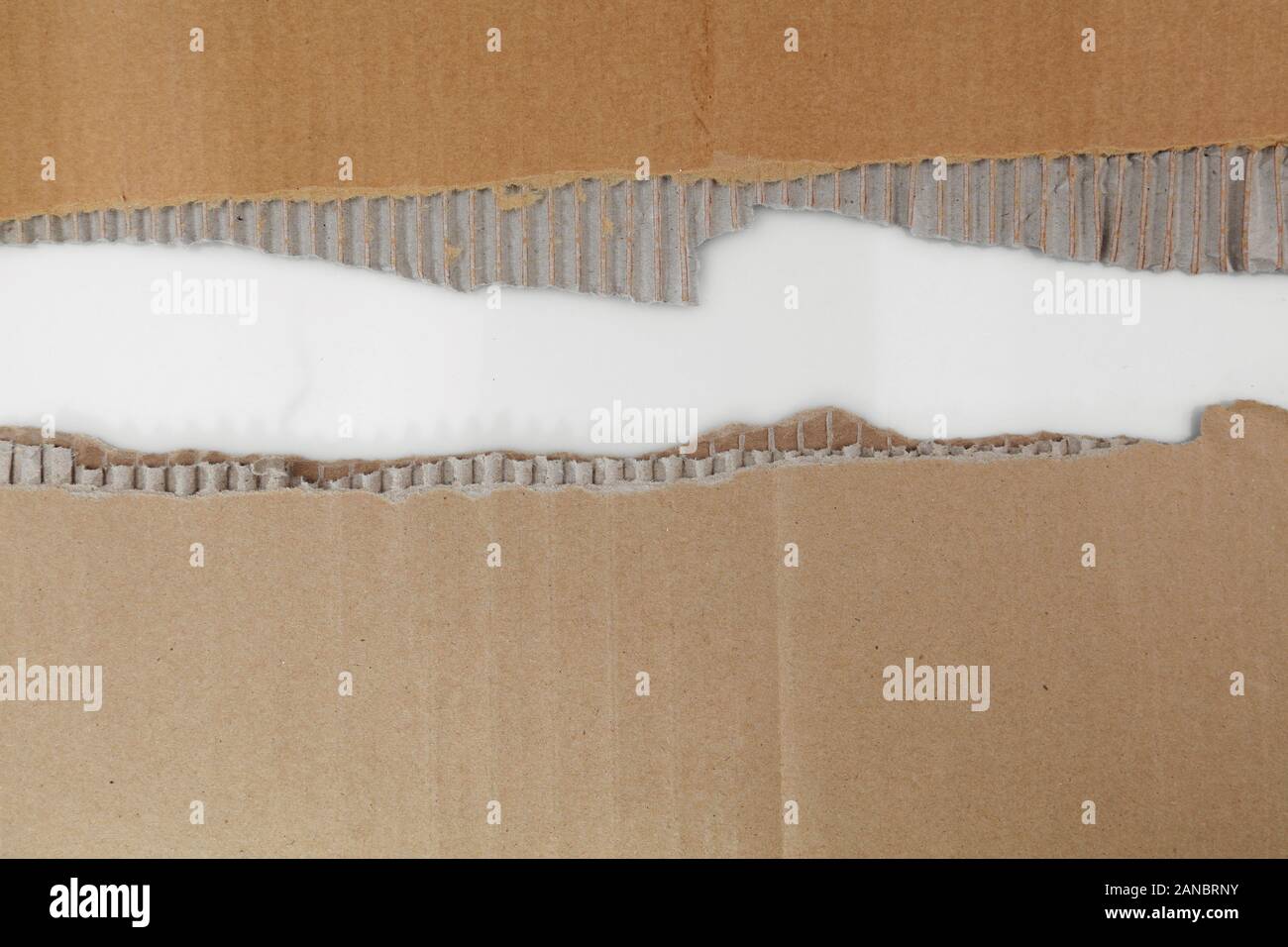 Ripped edges on corrugated cardboard. Copy space Stock Photo - Alamy