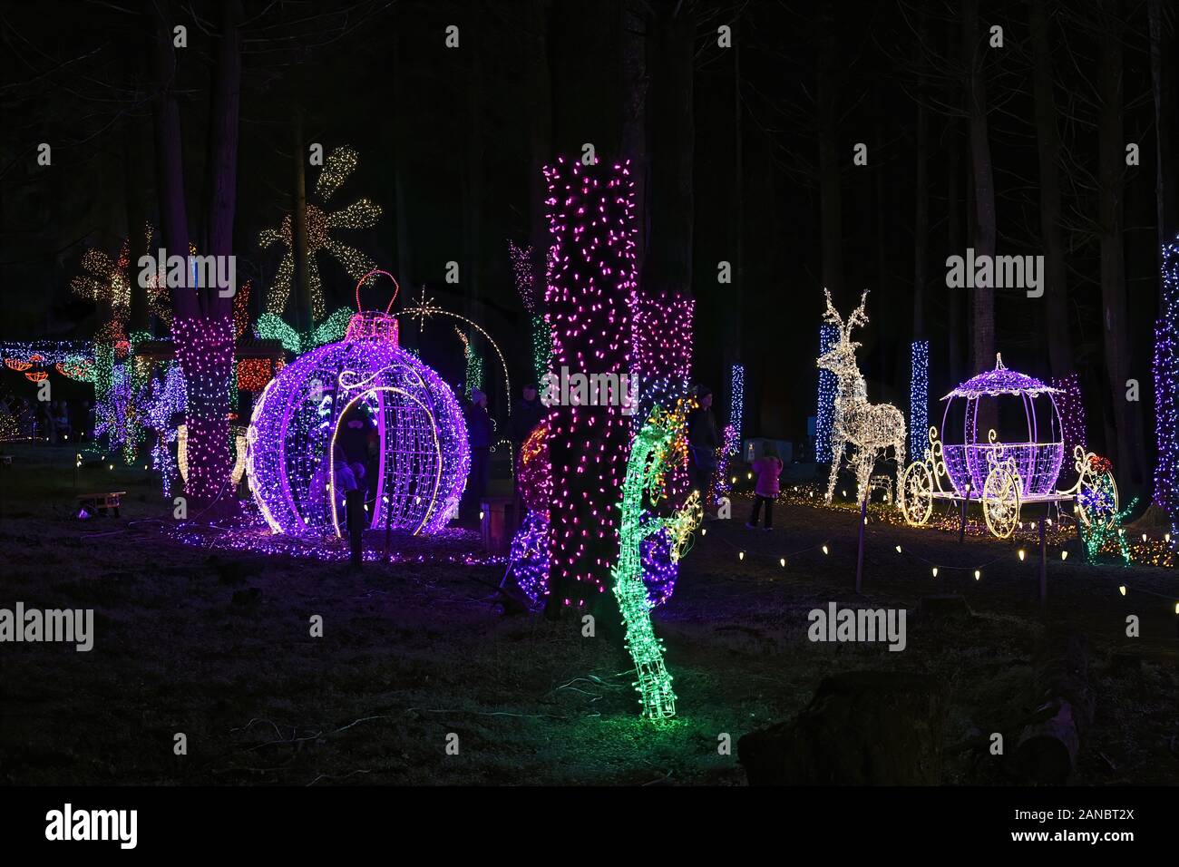 Christmas in the Garden is an outdoor event with paths leading through ...