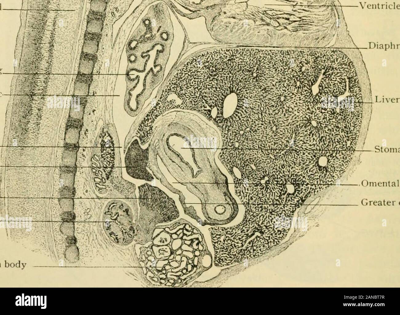 Rsal hi-res stock photography and images - Alamy