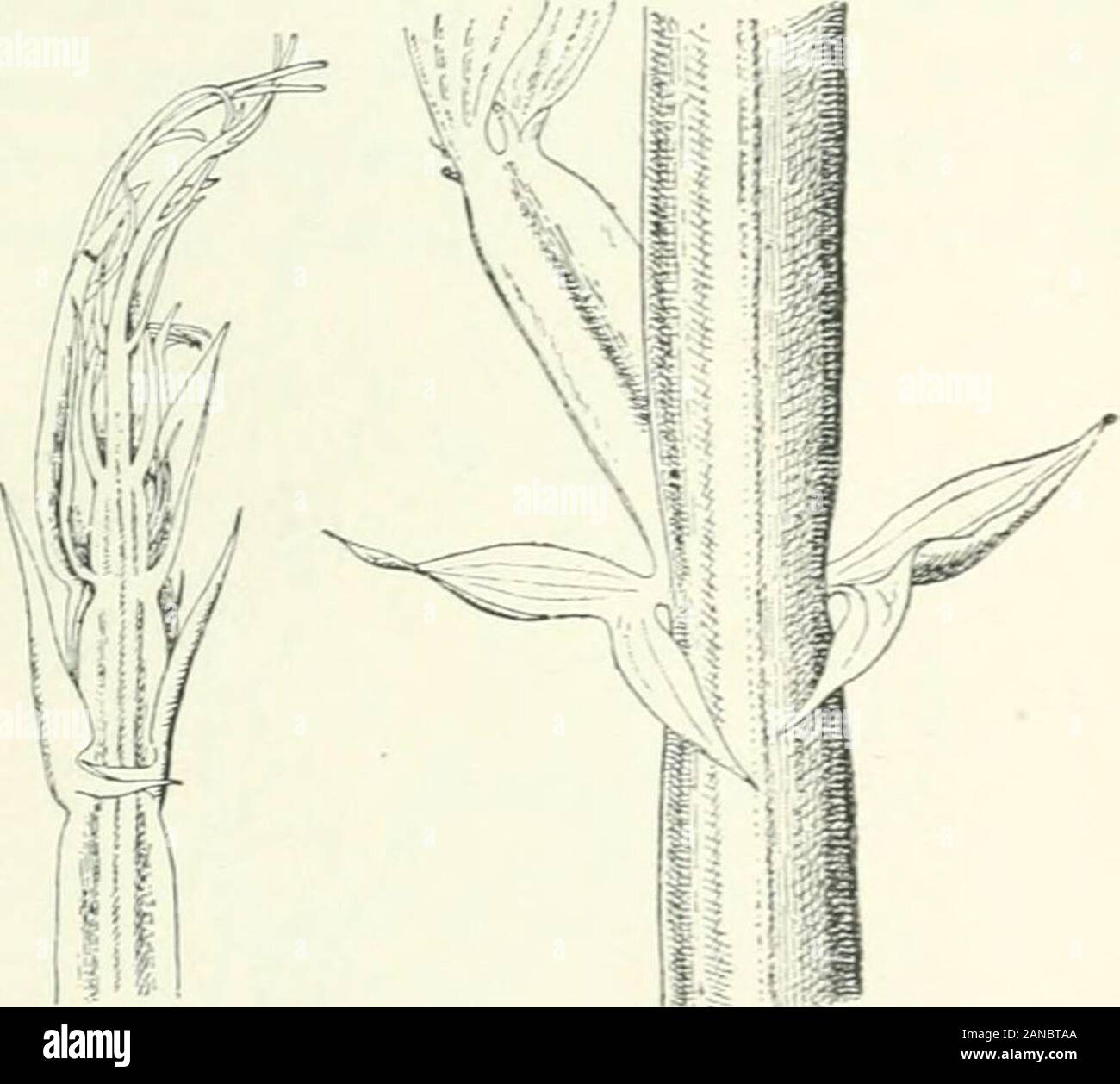 Onescale hi-res stock photography and images - Alamy