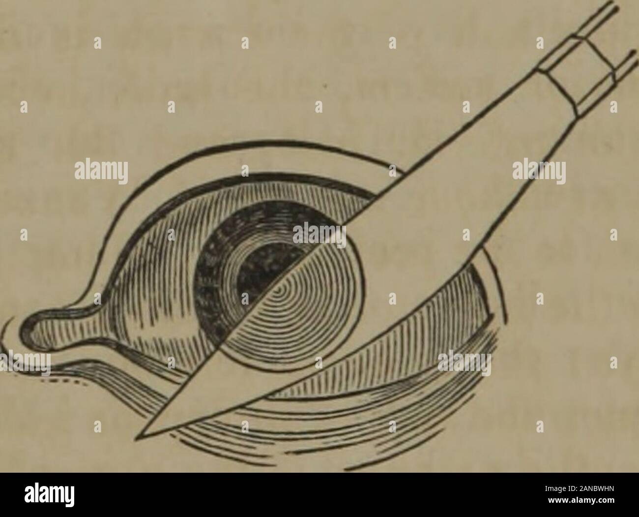Couching needle hi-res stock photography and images - Alamy
