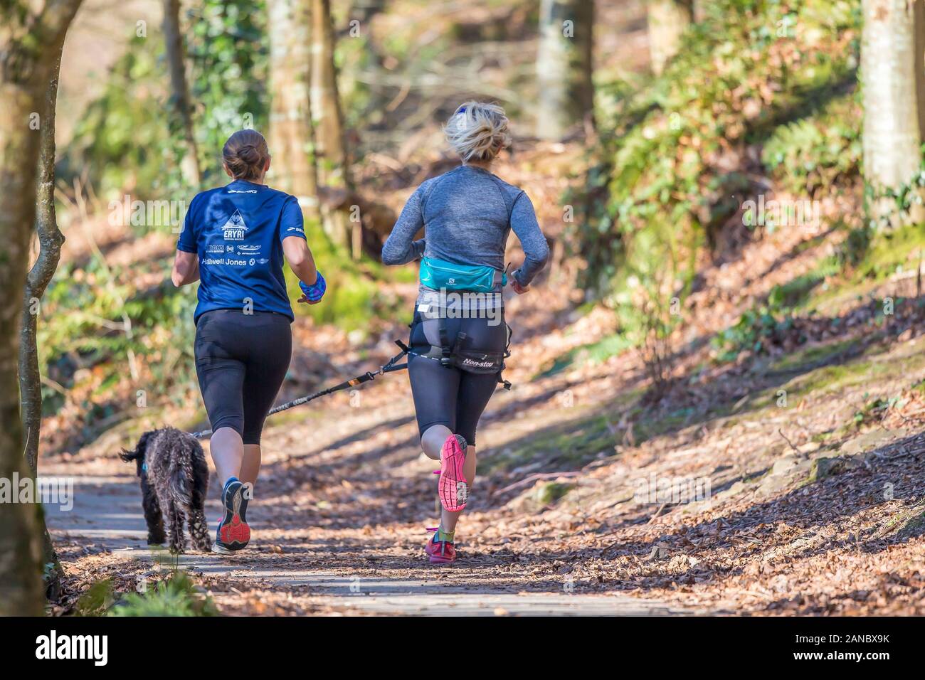 Female women running hi-res stock photography and images - Alamy