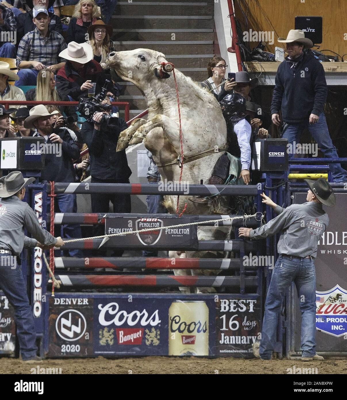 Bull rider chute hi-res stock photography and images - Alamy