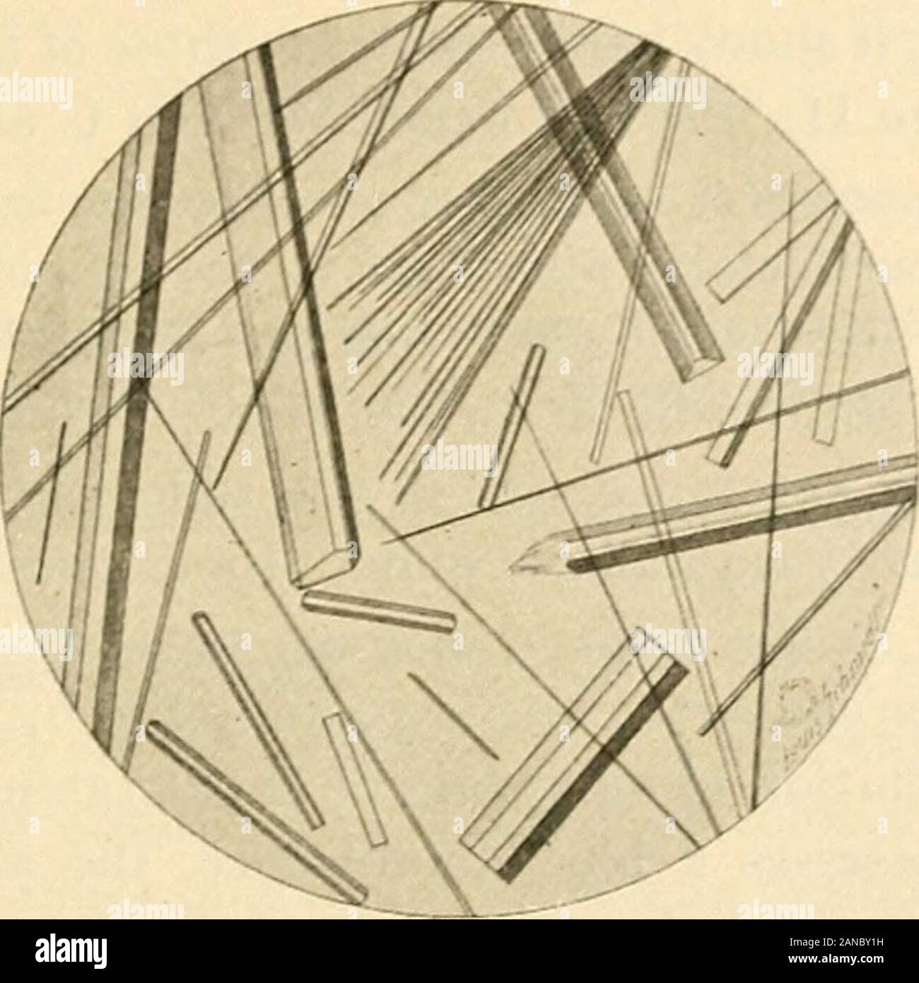 Practical physiological chemistry; a book designed for use in courses ...