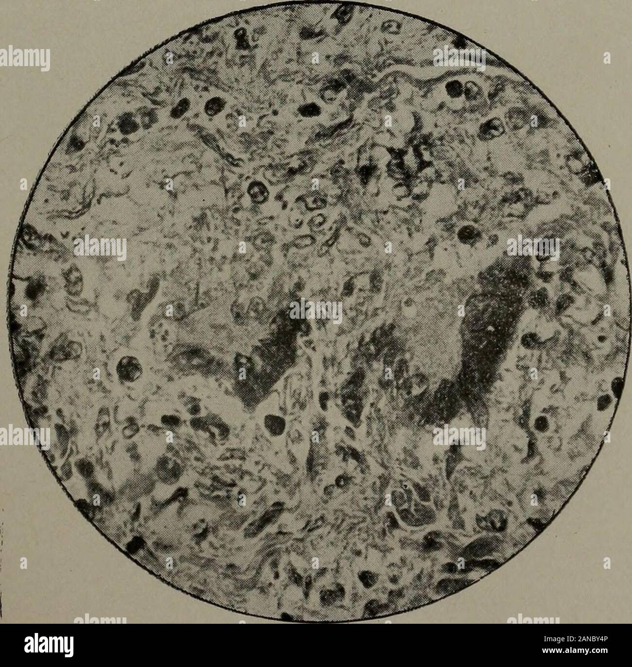 Medical communications of the Massachusetts Medical Society . Fig. I.—A ...