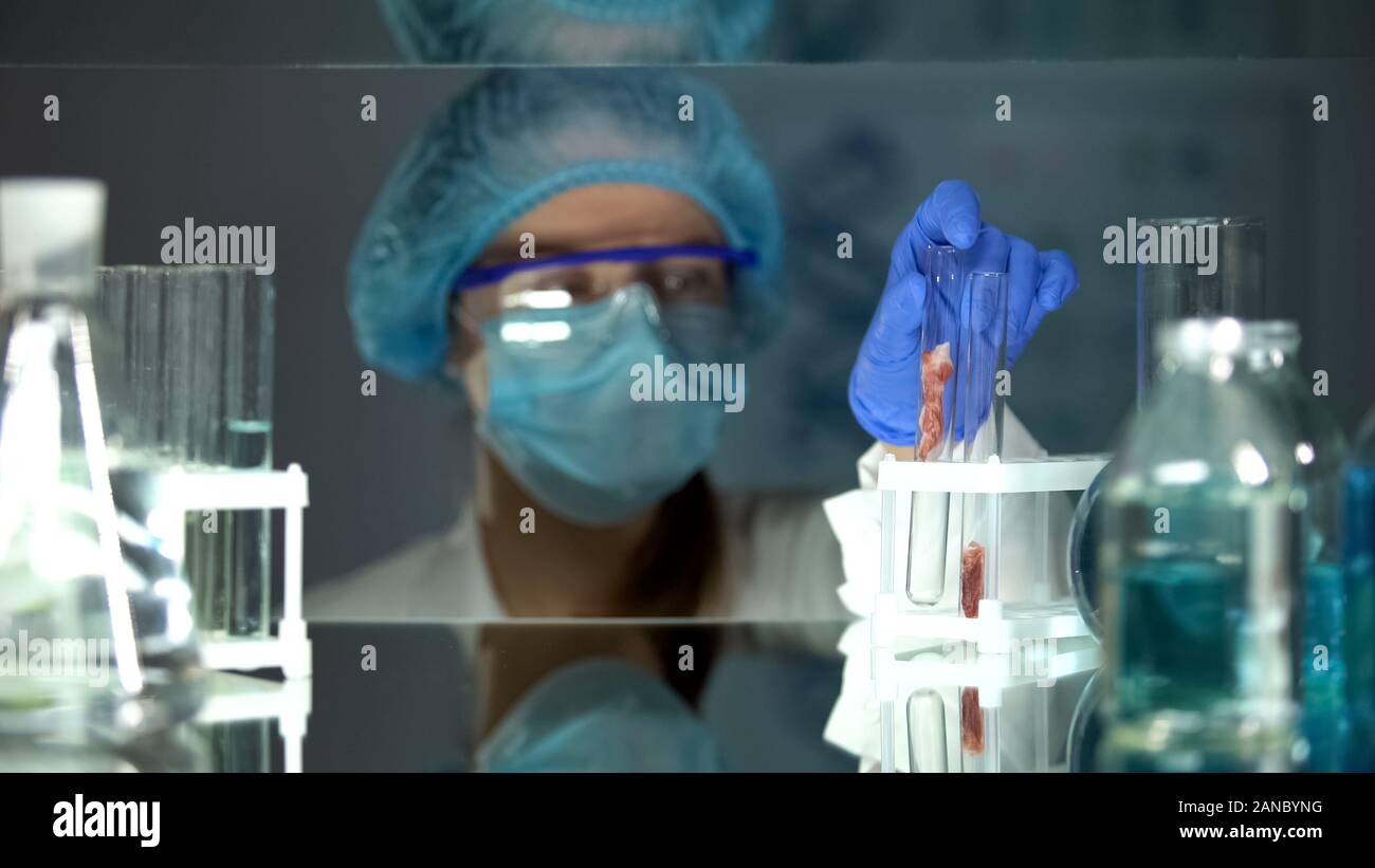 Researcher taking tube with meat sample, food quality, veterinarian ...