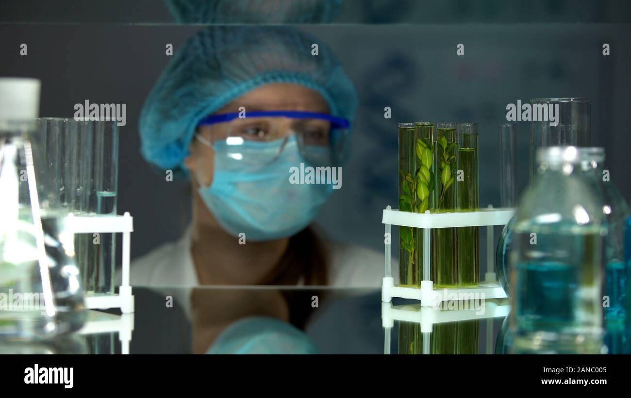 Observing experiment hi-res stock photography and images - Alamy