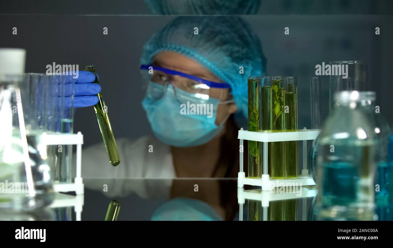 Ecology scientist looking at tube with green plant sample, organic ...