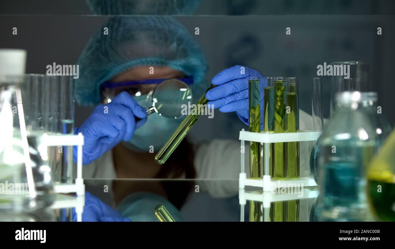 Biochemist studying tube with green plant through magnifying glass ...