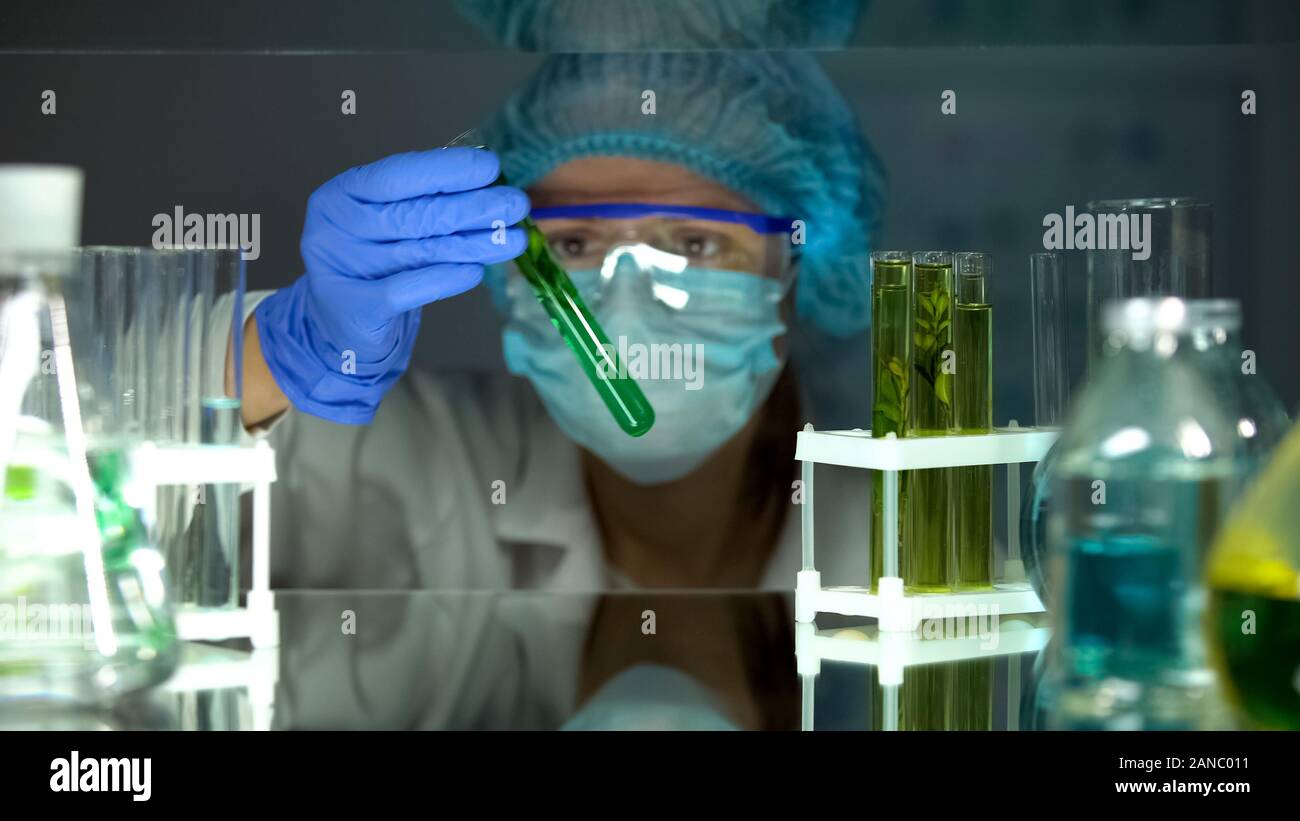Ecology scientist examining plant sample in test tube, studying ...
